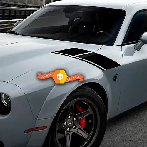 2X Dodge Challenger R/T Doors Side Decals Stripe Vinyl Graphics