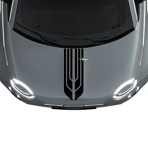 2X Multiple Color Graphics FIAT 500 500X I24 Abarth Racing Vinyl Decal ...