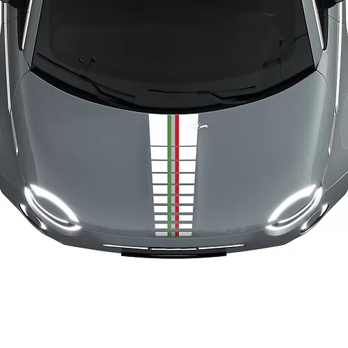 Fiat 500 ABARTH Logo Checkered Flag Decal side Graphics stripes