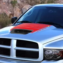 Hood Strobe Rumble Bee Limited Edition Vinyl Decal Sticker for Dodge ...