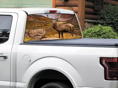 deer rear window graphics