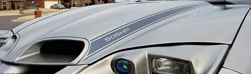 30th Anniversary Body Stripes decals fit Firebird or Trans Am