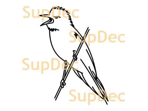 Bird Vinyl Art Wall Window Bathroom Sticker Decal removable #15