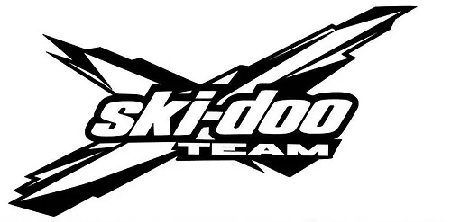 2 X 11" Brp Can-am Maverick Commander Outlander Team Sticker Decal