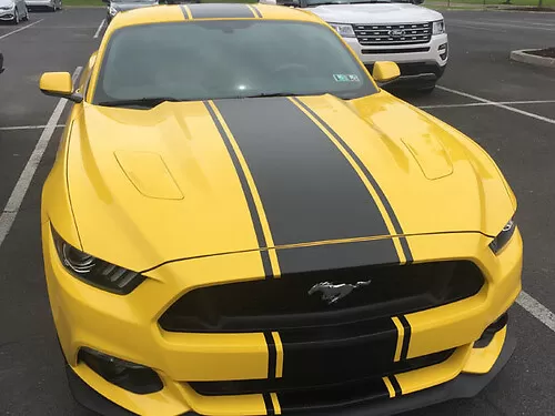2015 & Up Musclecar Musclecarmodel Super Snake Style Stripe Kits Vinyl ...