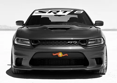 2x Dodge Charger Rocker Panel Decal Factory Stripe 2011- 2018