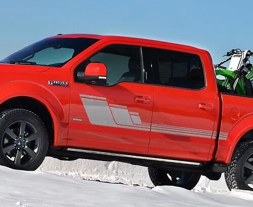 Ford F-150 F150 Vinyl Decal Sticker Graphics Side Door x2